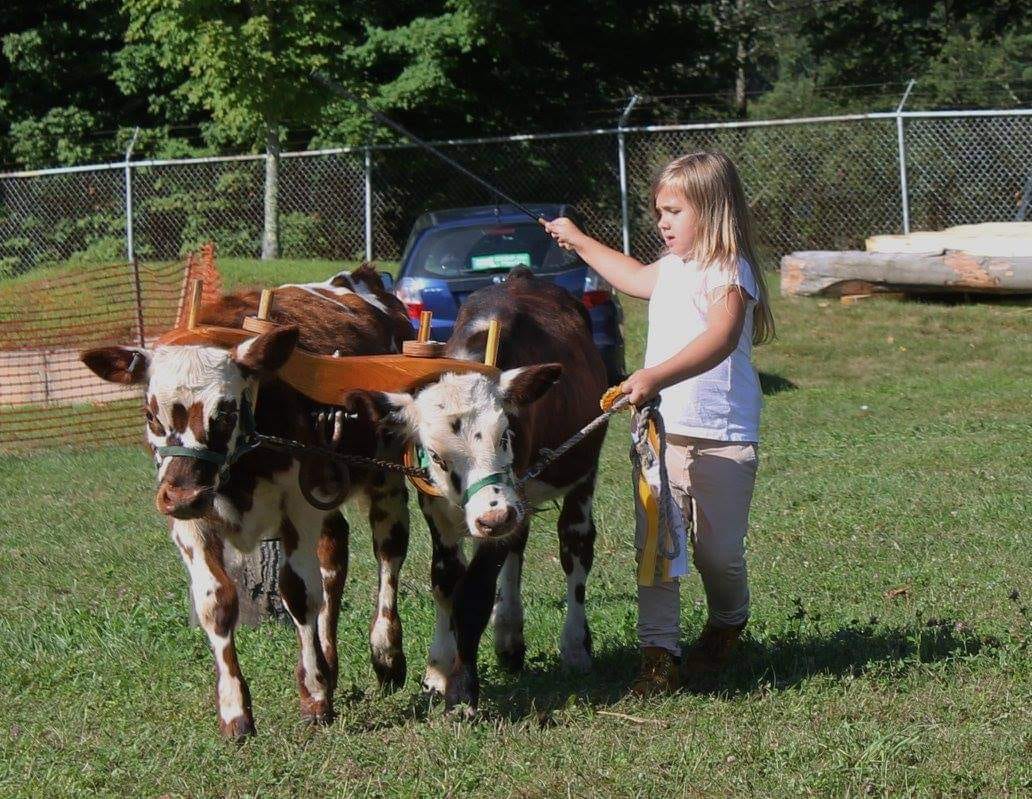 Normandes - US Normande Organization